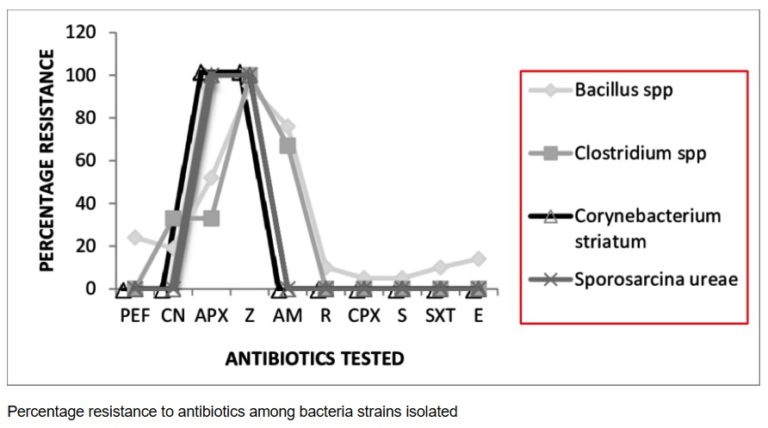 Wireless Radiation Produces Antibiotic Resistant Bacteria, Increases ...